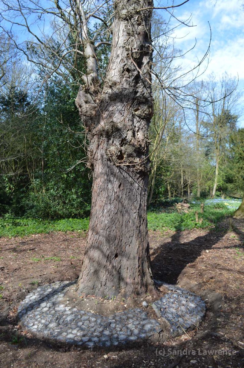 A Year at Warley Part V: Things that just fetch up… – Miss Willmott's ...