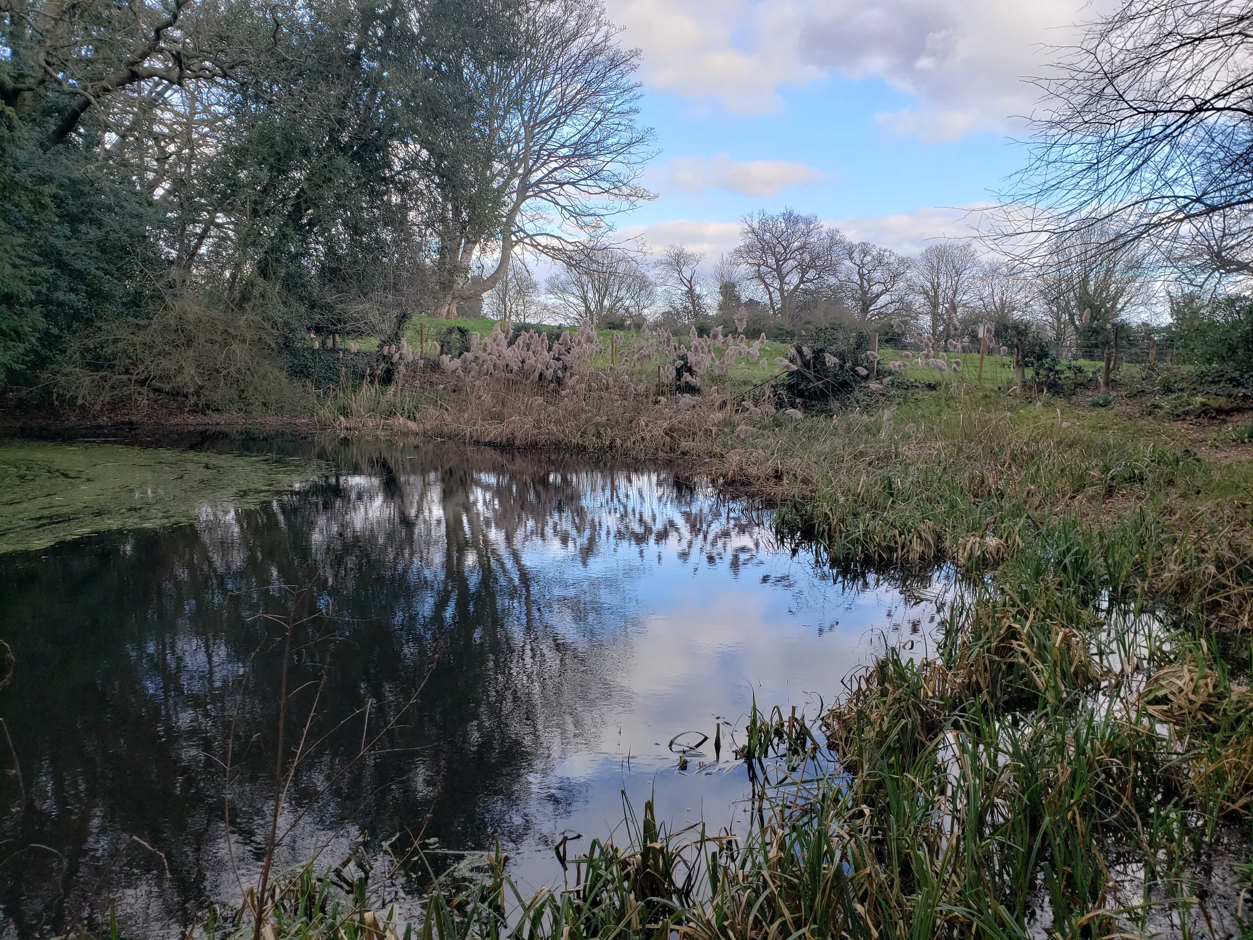 Fireman Ellen Ann – Miss Willmott's Ghosts